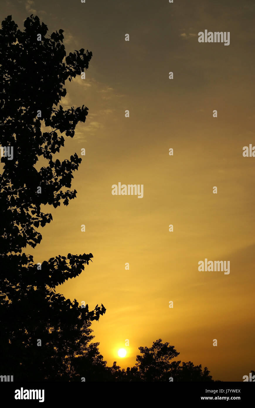 beautiful beauteously nice beam backlit beauty fall autumn beautiful ...