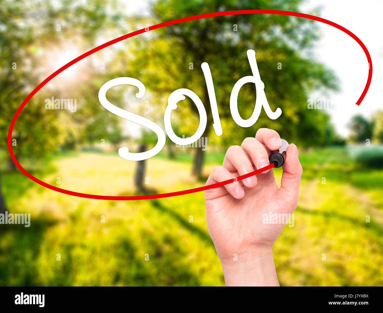 Man Hand writing Sold with black marker on visual screen. Isolated on ...