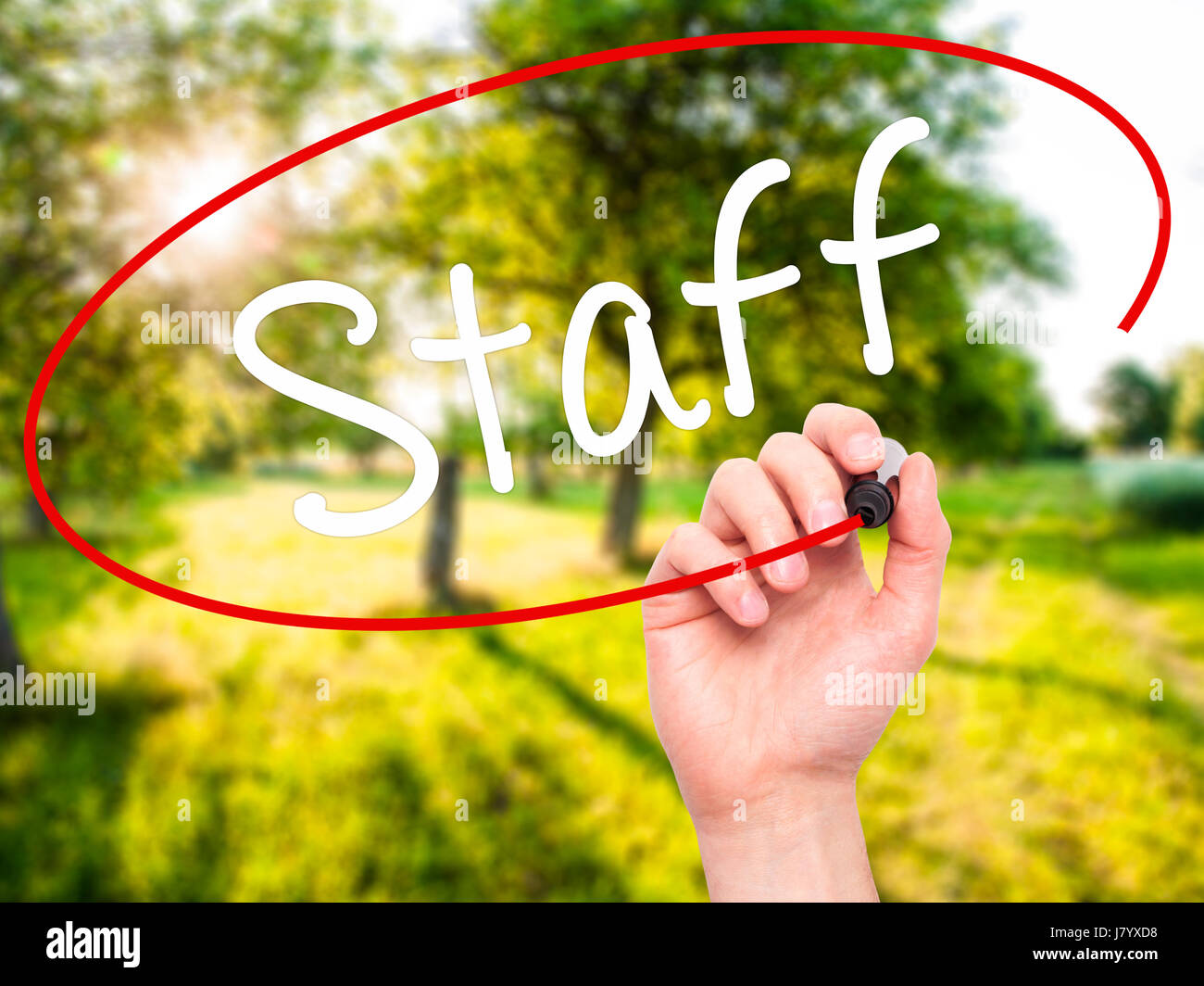 Man Hand writing Staff with black marker on visual screen. Isolated on ...