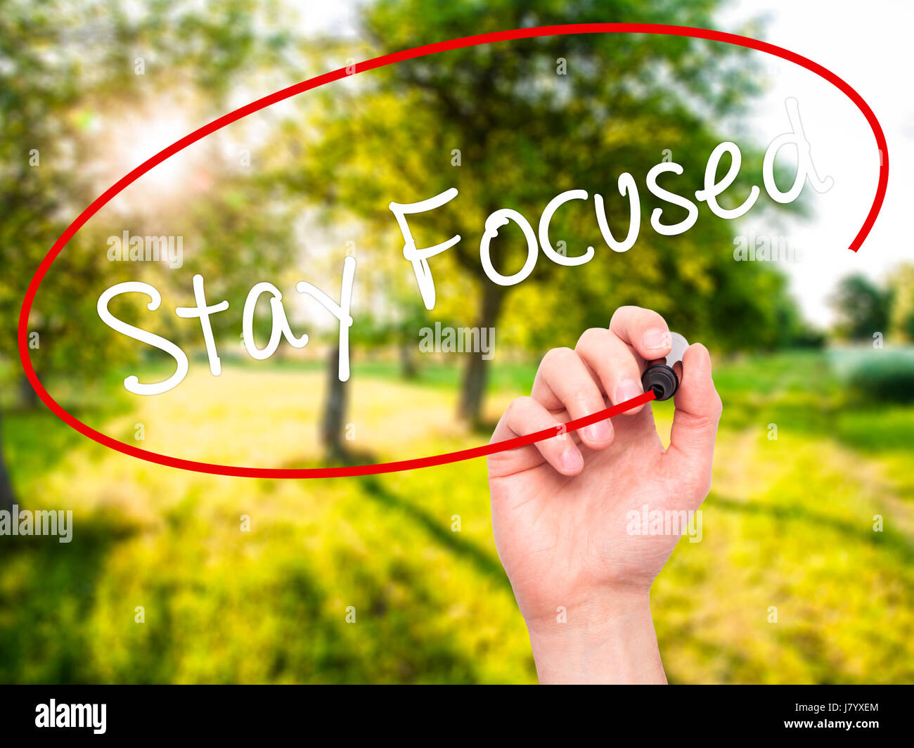 Man Hand writing Stay Focused with black marker on visual screen ...