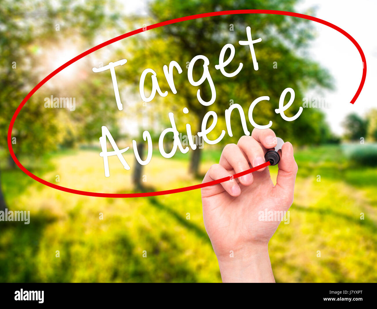 Man Hand writing Target Audience with black marker on visual screen ...