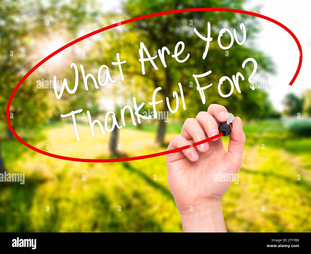 Man Hand writing What Are You Thankful For? with black marker on visual ...