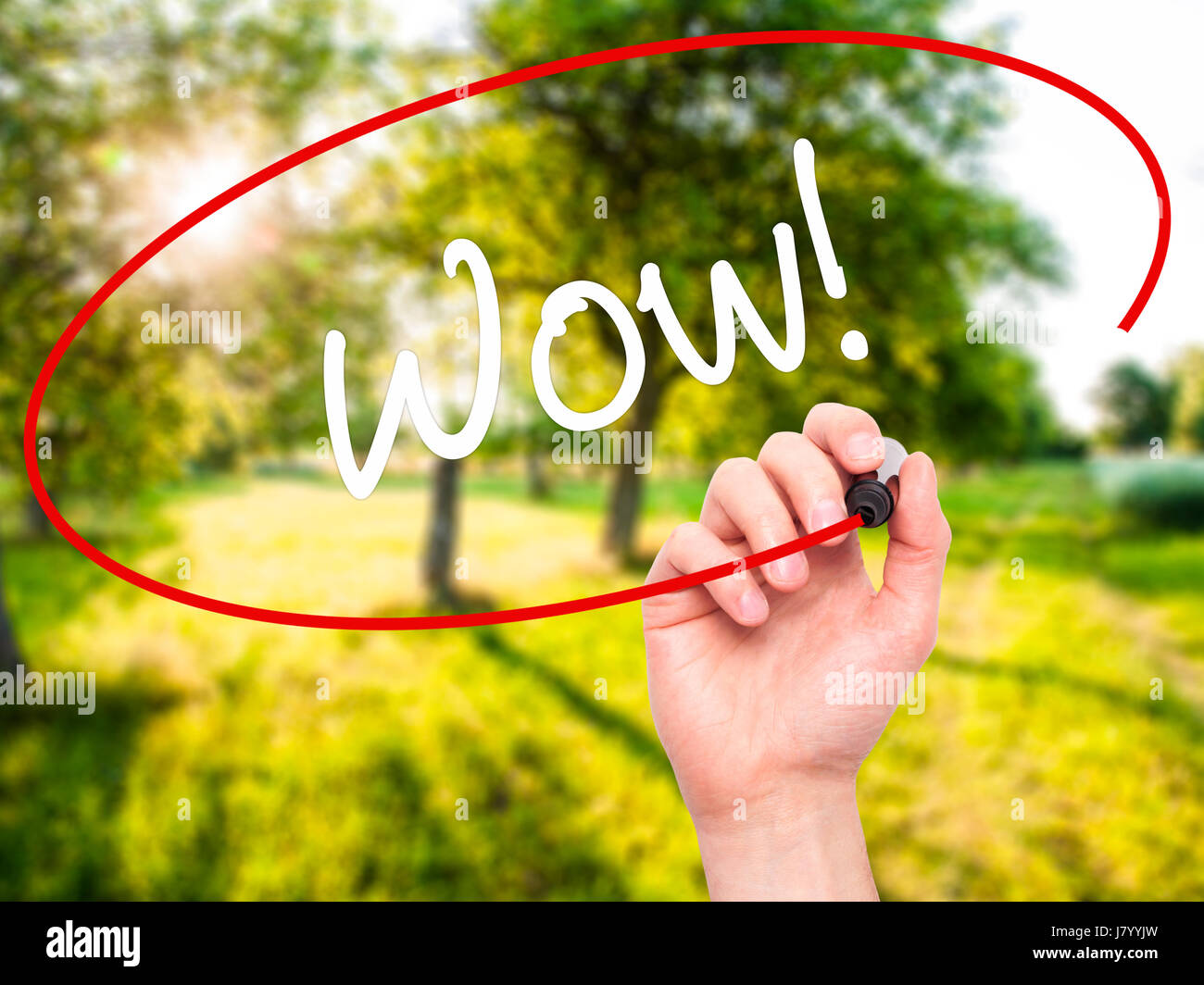 Man Hand writing Wow! with black marker on visual screen. Isolated on ...