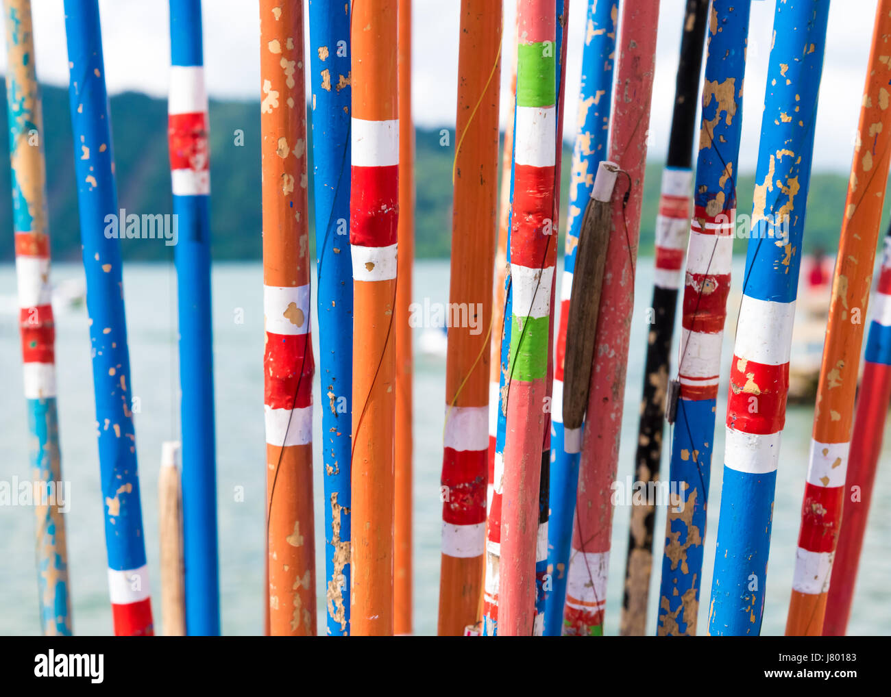 Close-up on bunch of colourful traditional bamboo fishing rods Stock ...