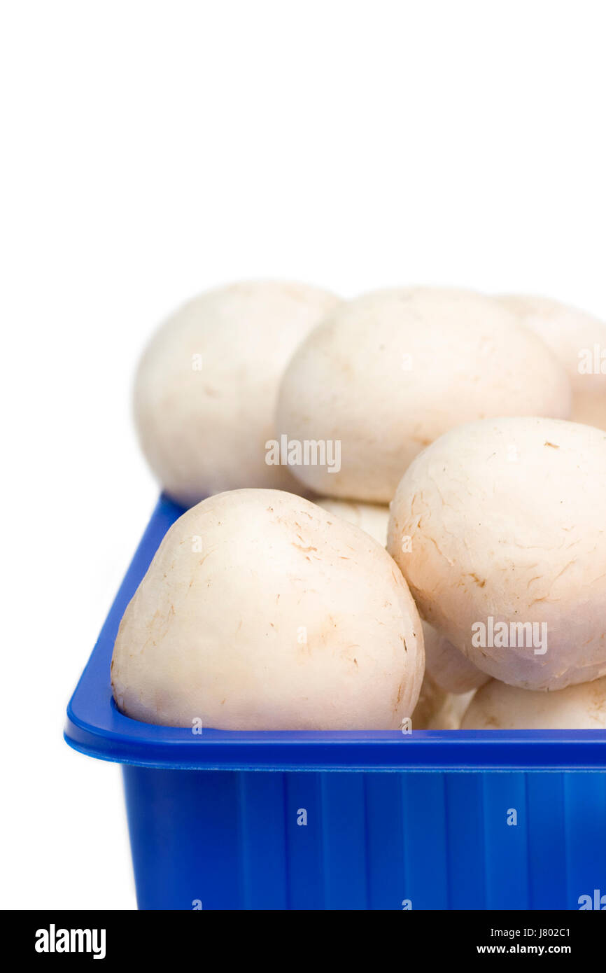 white mushrooms in blue plastic box Stock Photo - Alamy