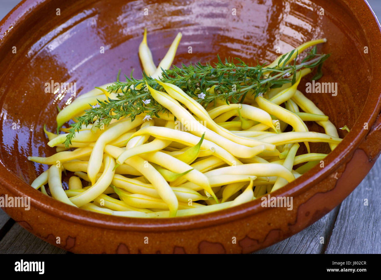 Leguminous plants hi-res stock photography and images - Alamy