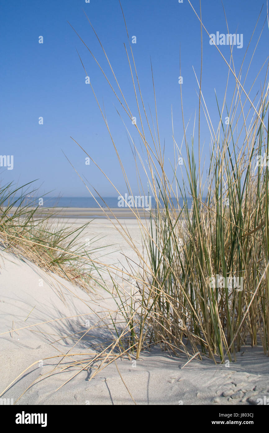 conservation of nature dunes dune sandy beach dike salt water sea ocean ...