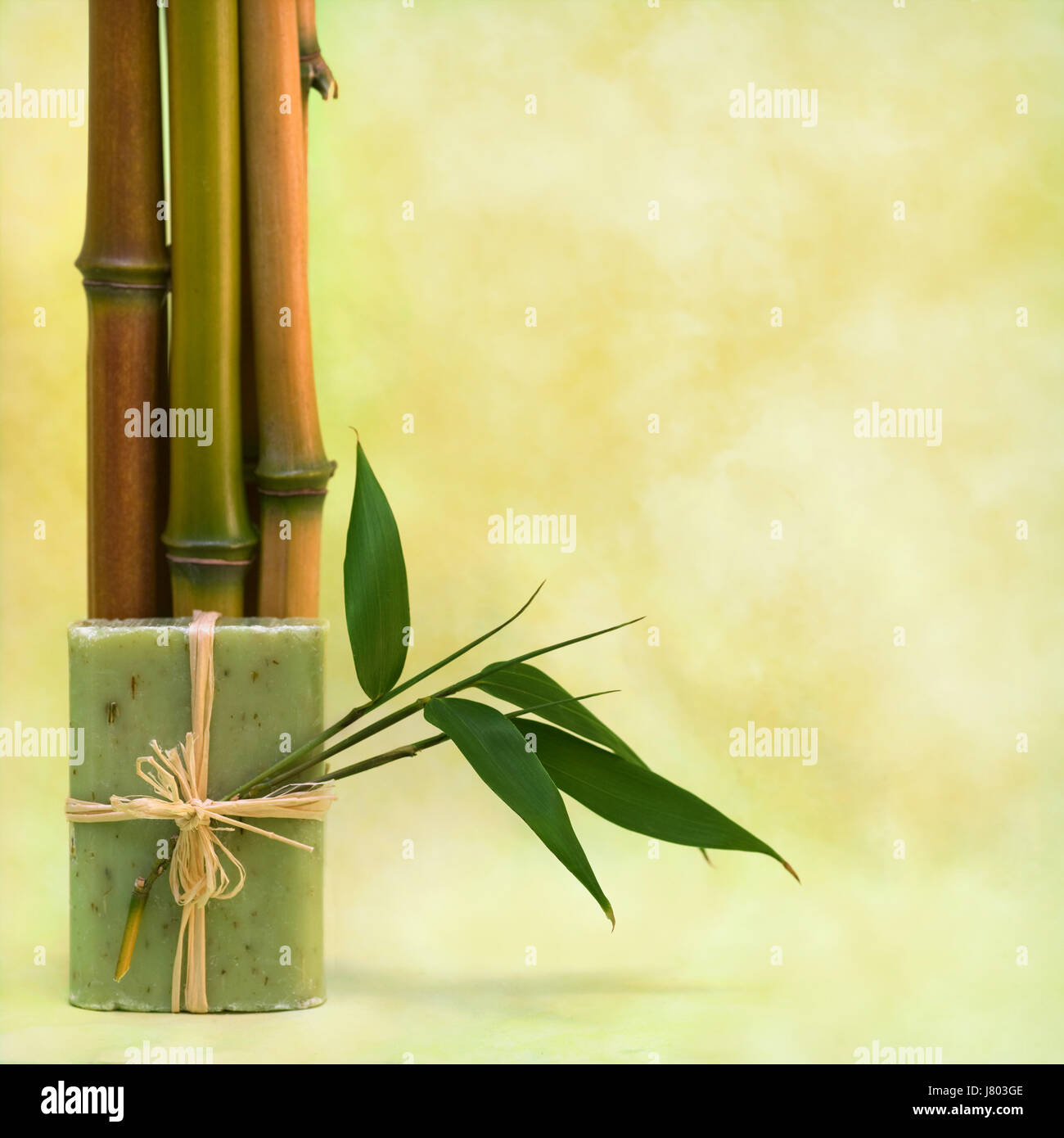 leaves natural product bamboo loop soap backdrop background spa ...