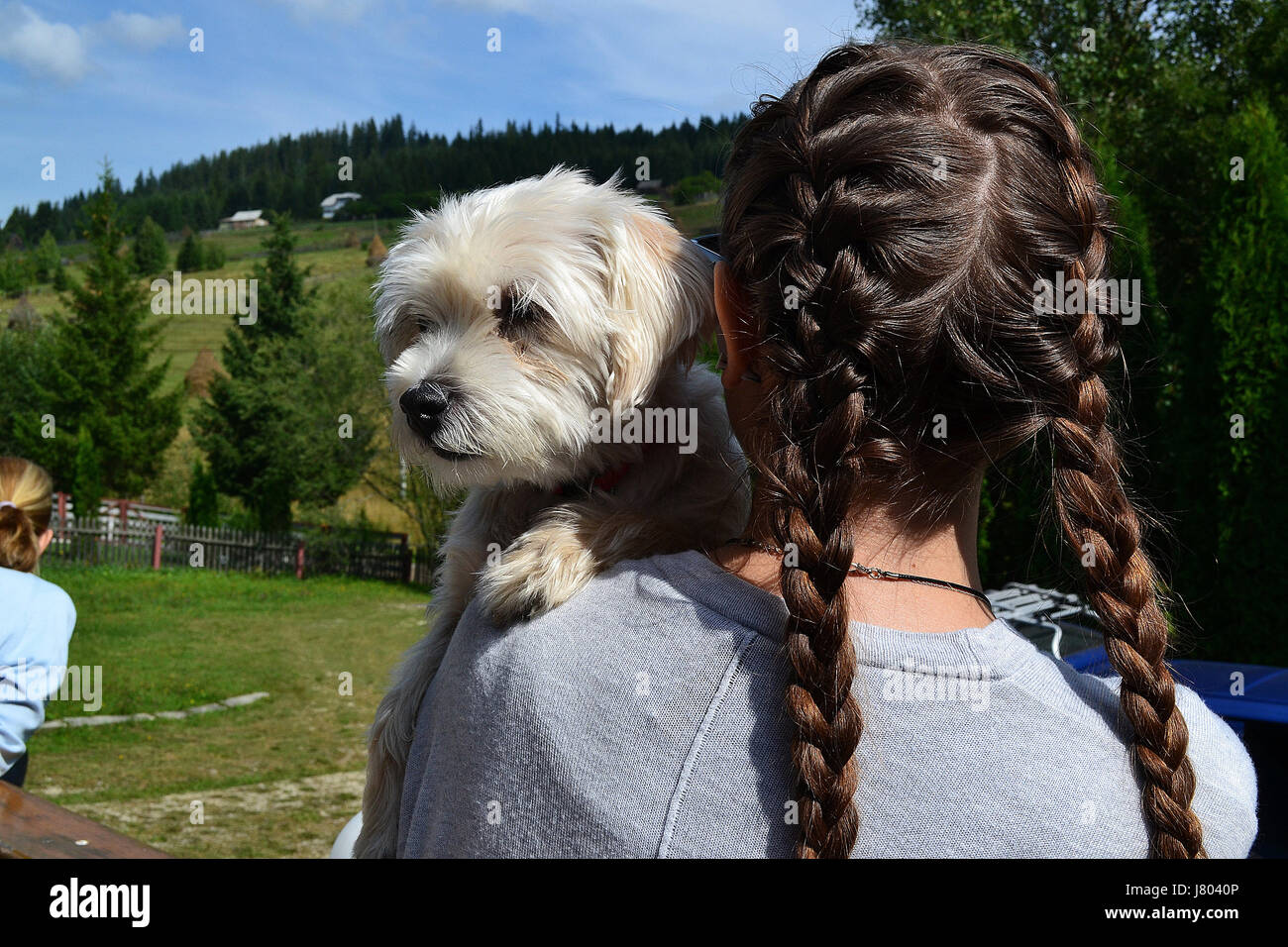 Photos of what i love Stock Photo - Alamy
