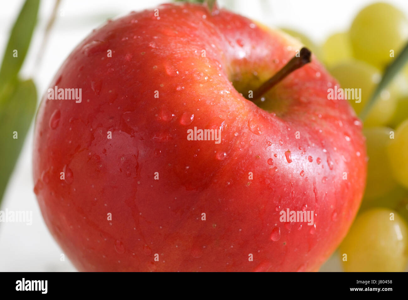 blank european caucasian grapes apples apple rich in vitamins water ...
