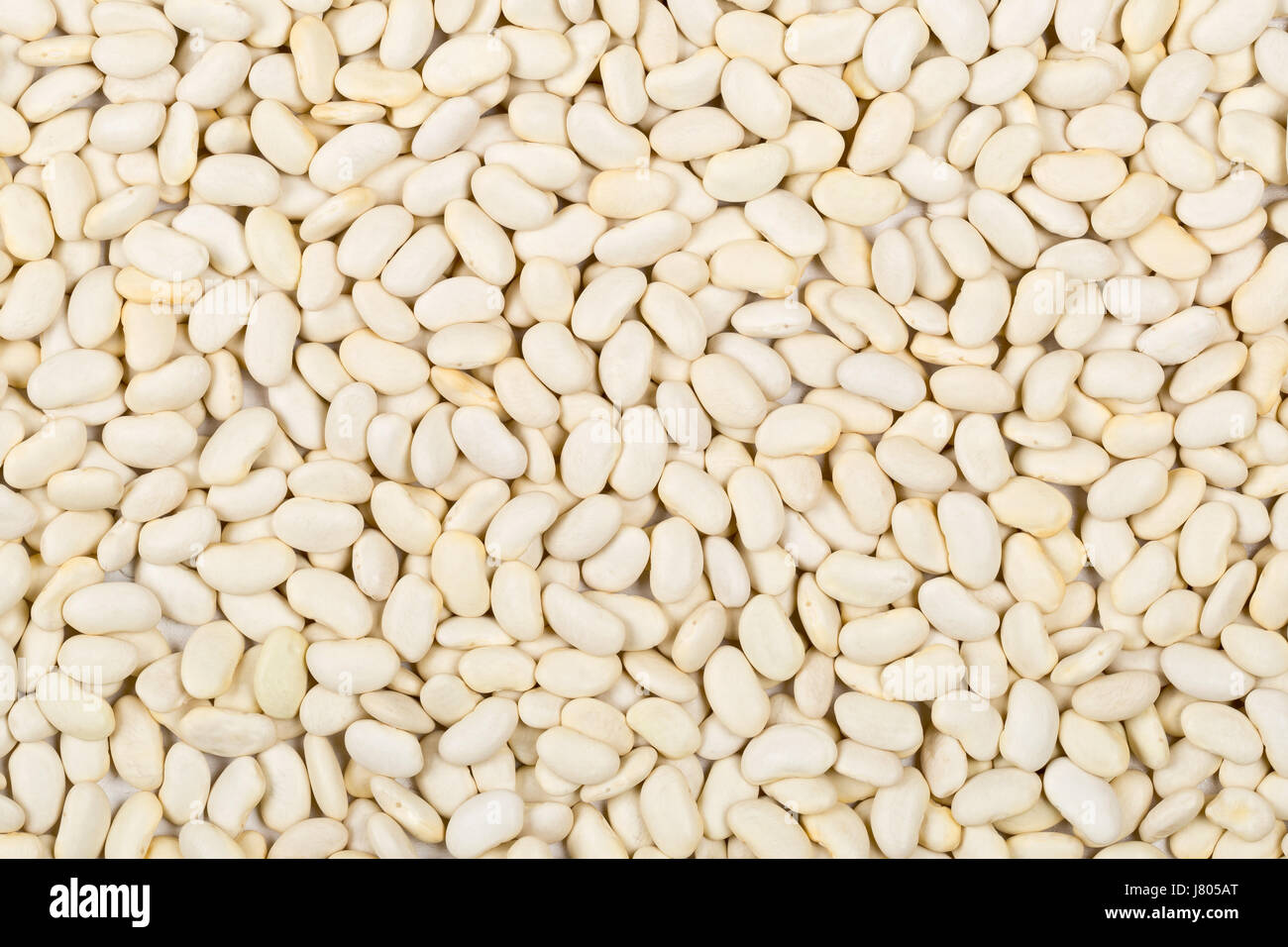 Dried white bean legumes frame filling background texture Stock Photo ...