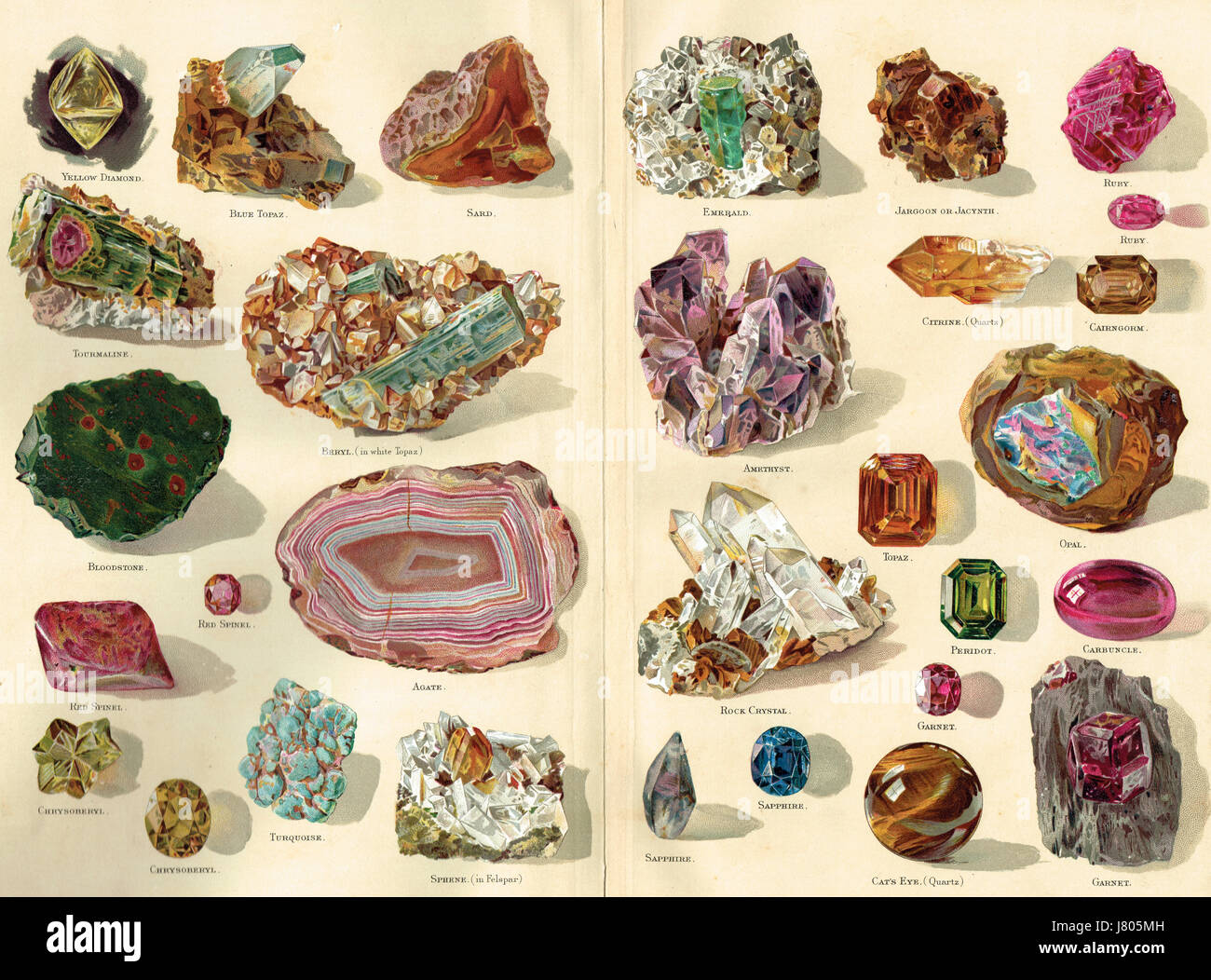 Illustration of Precious Stones selection 1898 Stock Photo - Alamy