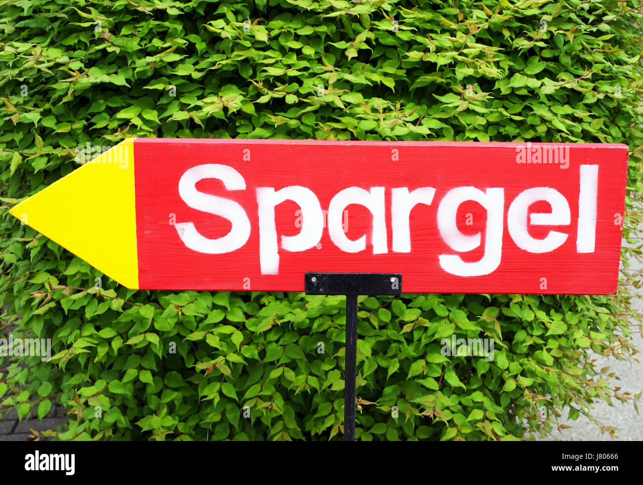 sign signal info food aliment health vitamins vitamines green poster ...