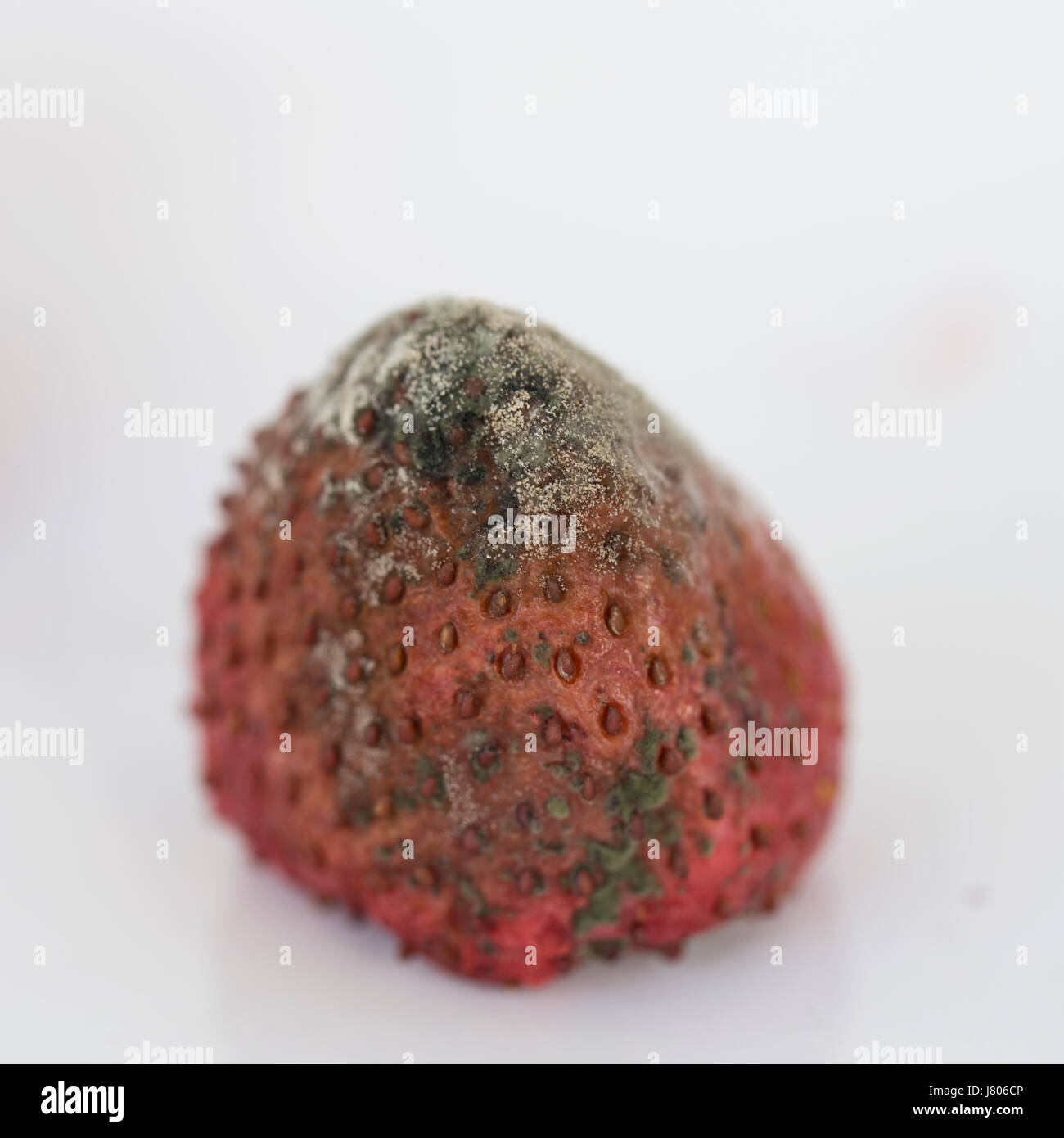 Overripe avocado hi-res stock photography and images - Alamy