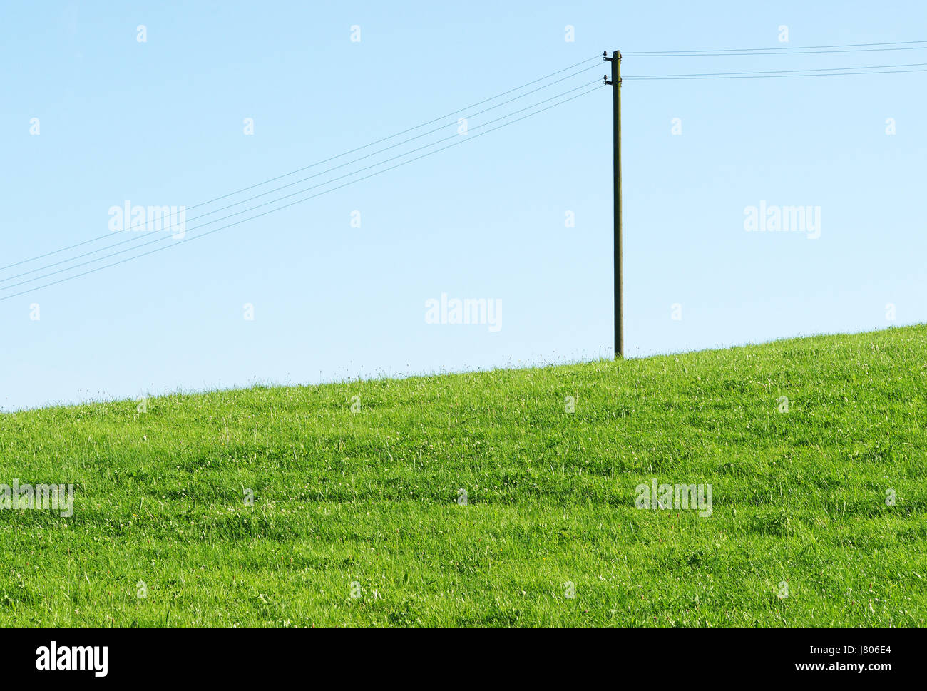 blue environment enviroment green shine shines bright lucent light ...