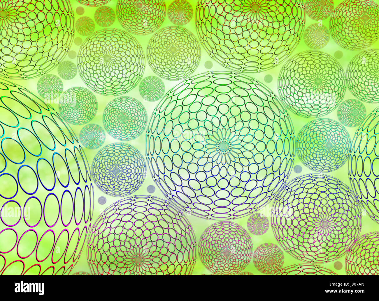 Organic Shape Photography