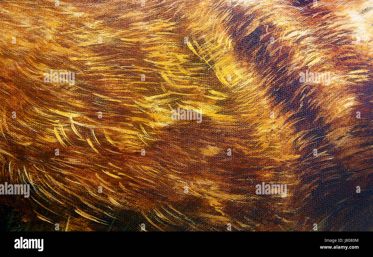 detail of animal fur structure, hand painted and graphic background ...