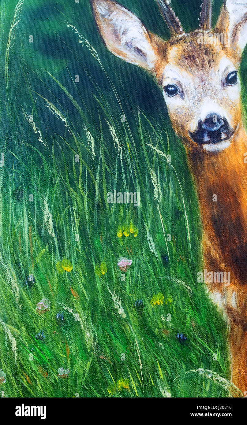 painting of young deer in wild landscape with high grass Stock Photo ...