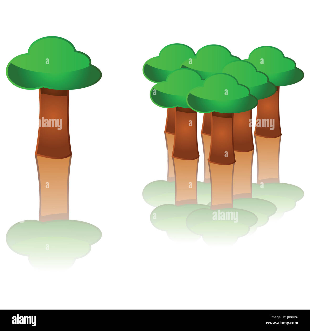 environment enviroment tree flora vegetable forest plant nature ...