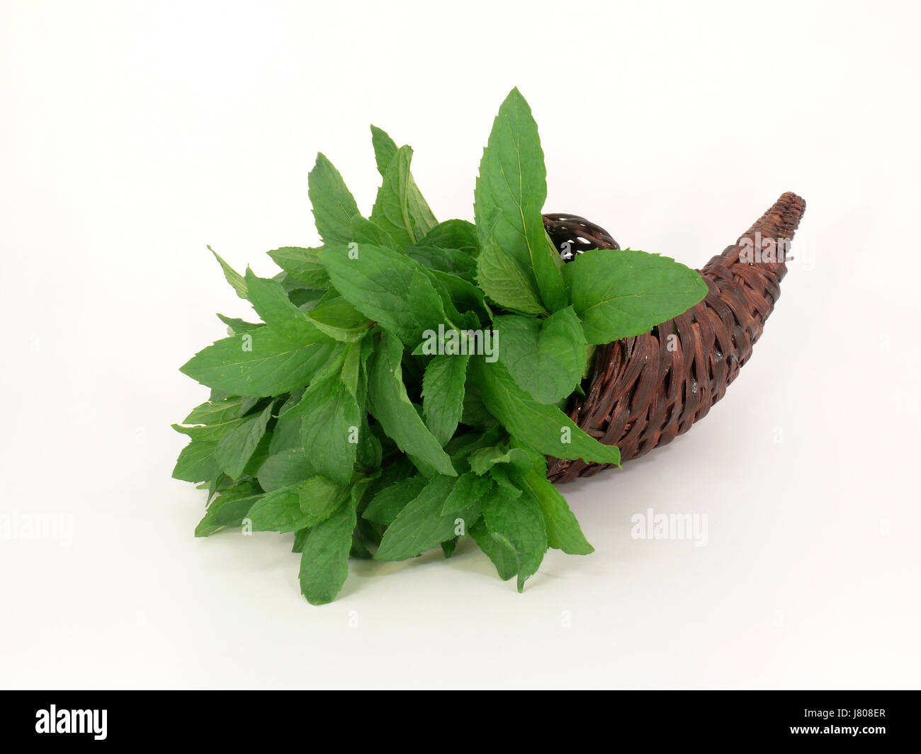 harvest fresh peppermint in a basket Stock Photo - Alamy