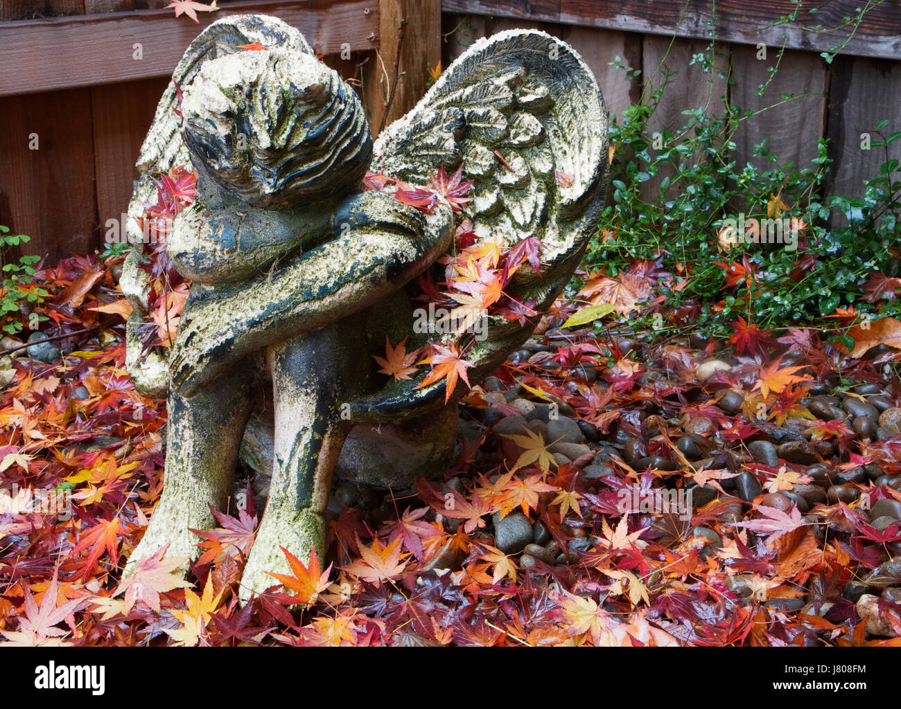 leaf detail religious art park garden stone statue ground soil earth ...