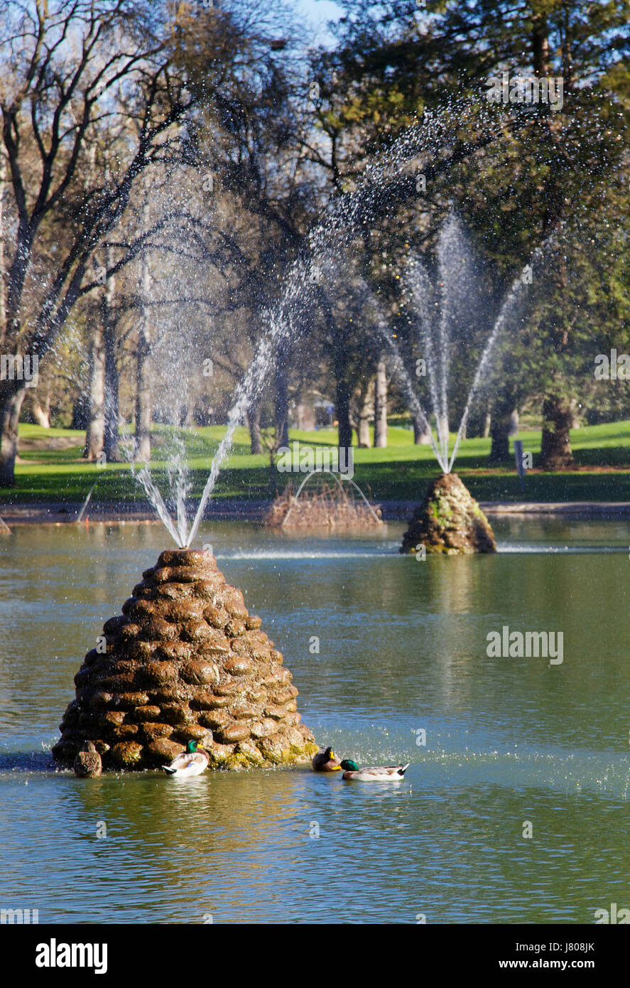 liquid tree trees flow park stone animal bird brown brownish brunette ...