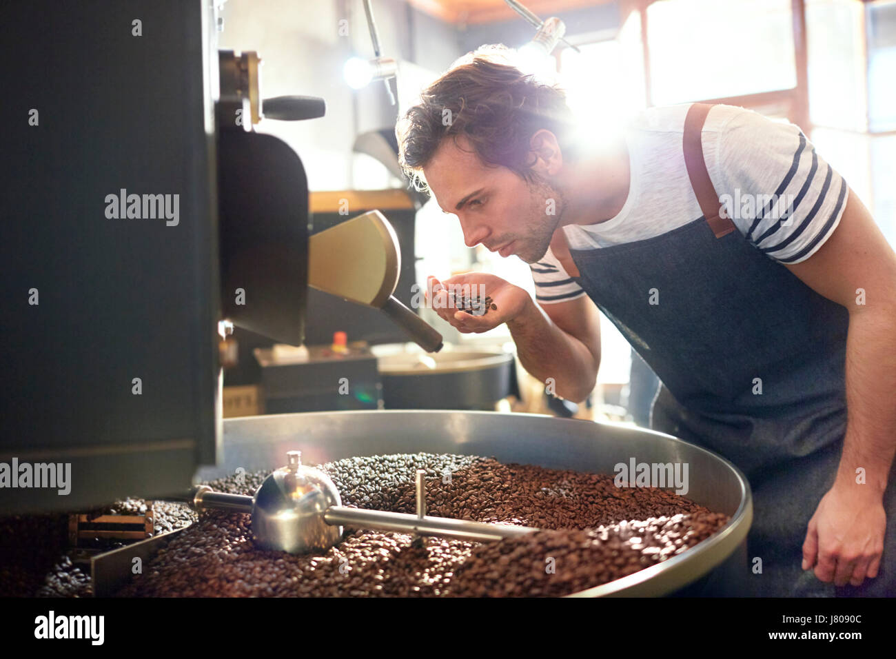 Male coffee roaster smelling coffee beans at roaster Stock Photo - Alamy