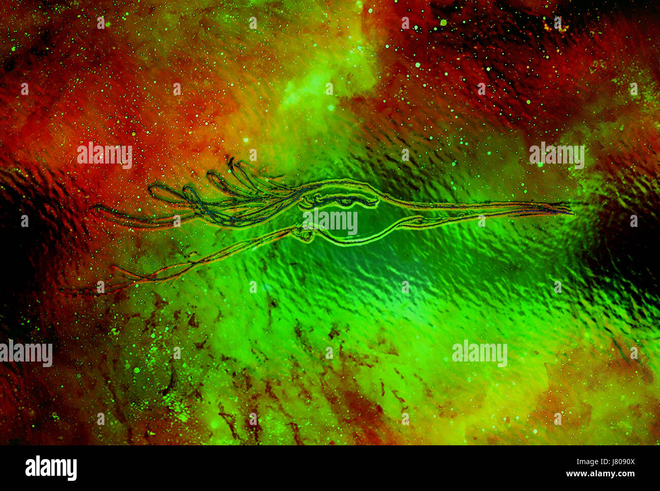 White line red eye effect hi-res stock photography and images - Alamy