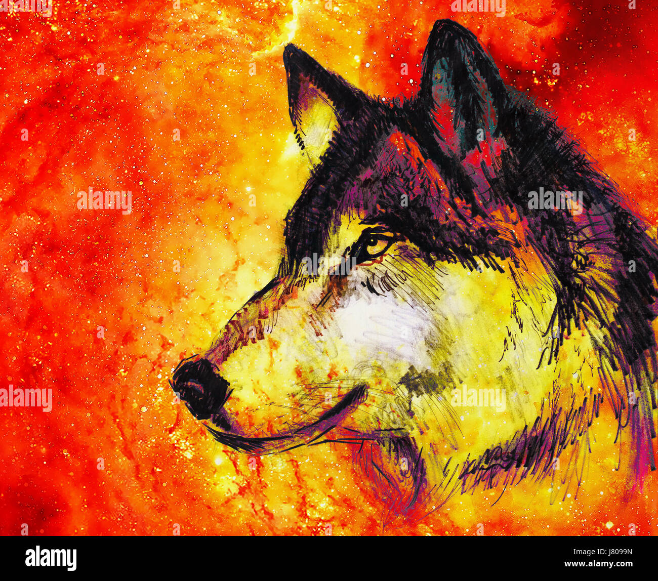 Wolf portrait, mighty cosmical wolf in cosmic space Stock Photo - Alamy