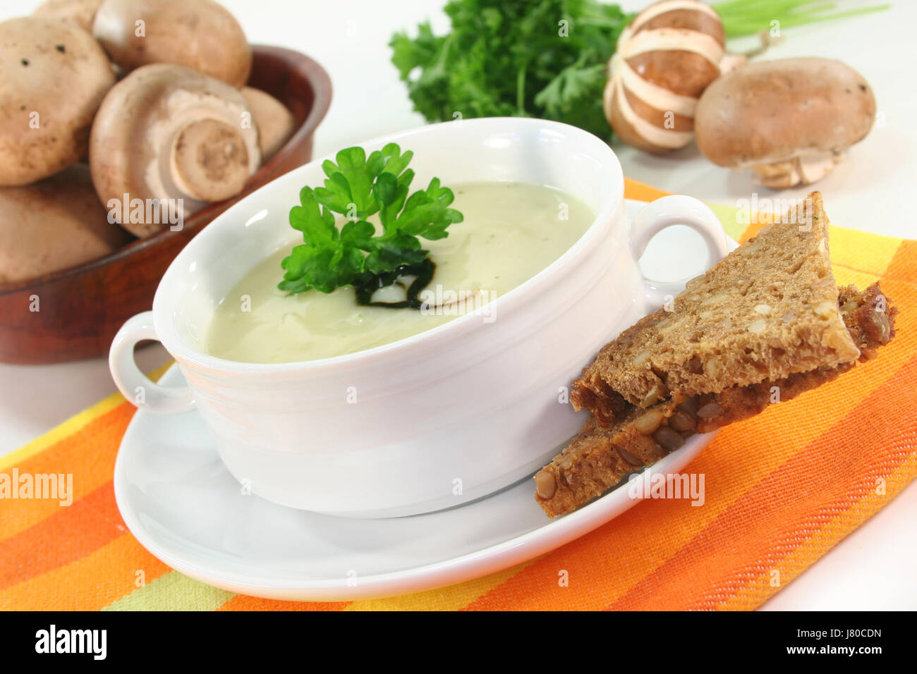 vegetable mushroom pottage soup shine shines bright lucent light serene ...