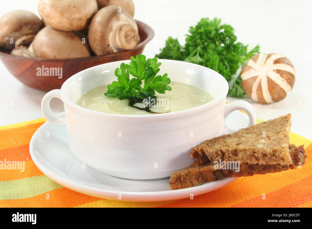 vegetable mushroom pottage soup shine shines bright lucent light serene ...