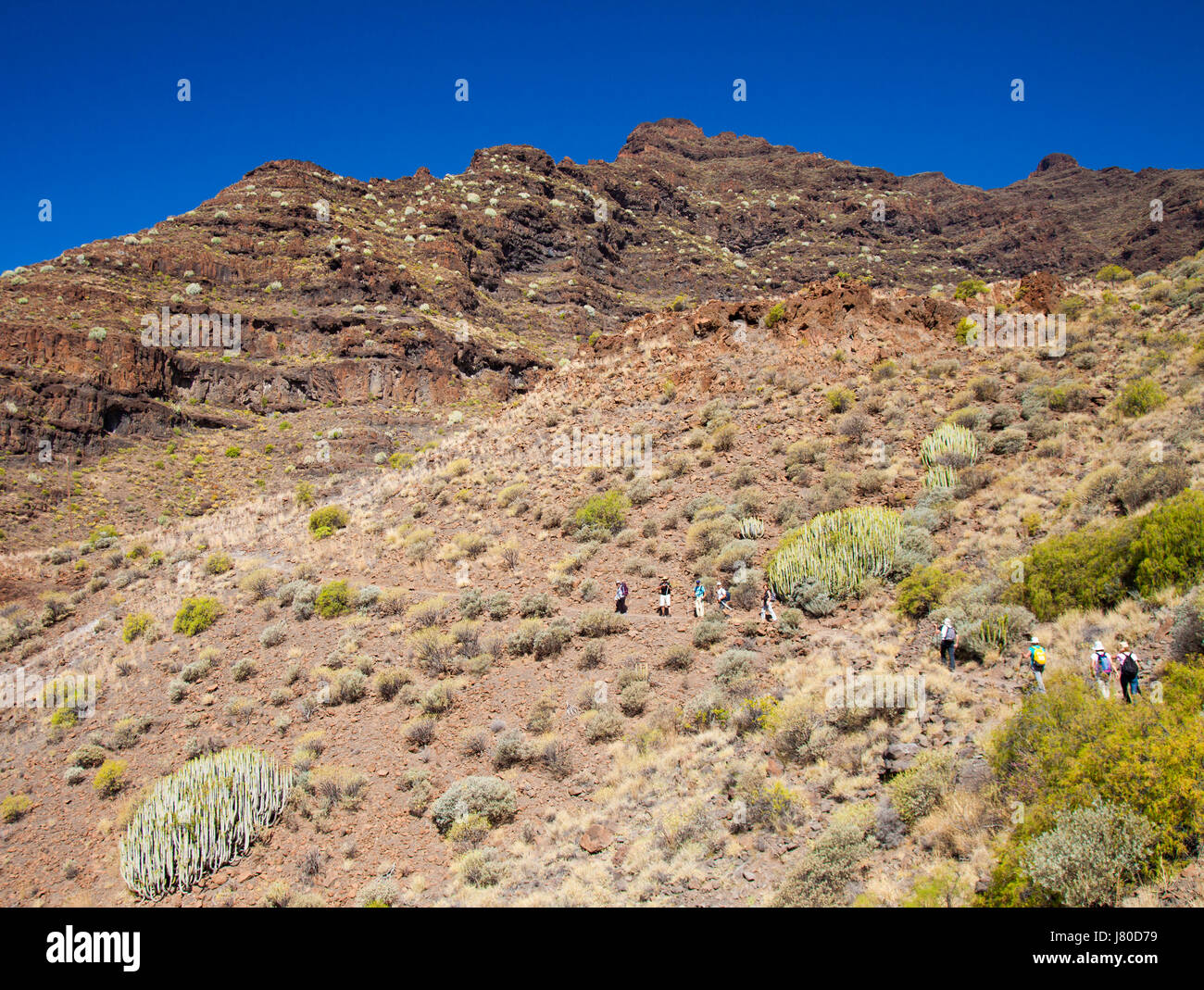 Western Gran Canaria, May, hiking route Tasartico - Playa GuiGui ...
