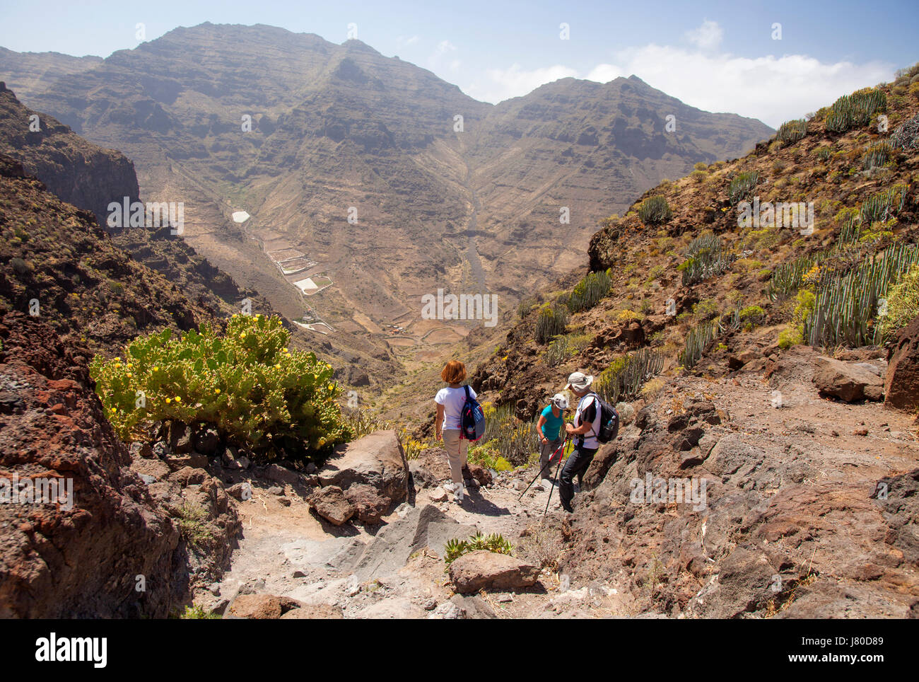 Western Gran Canaria, May, hiking route Tasartico - Playa GuiGui ...