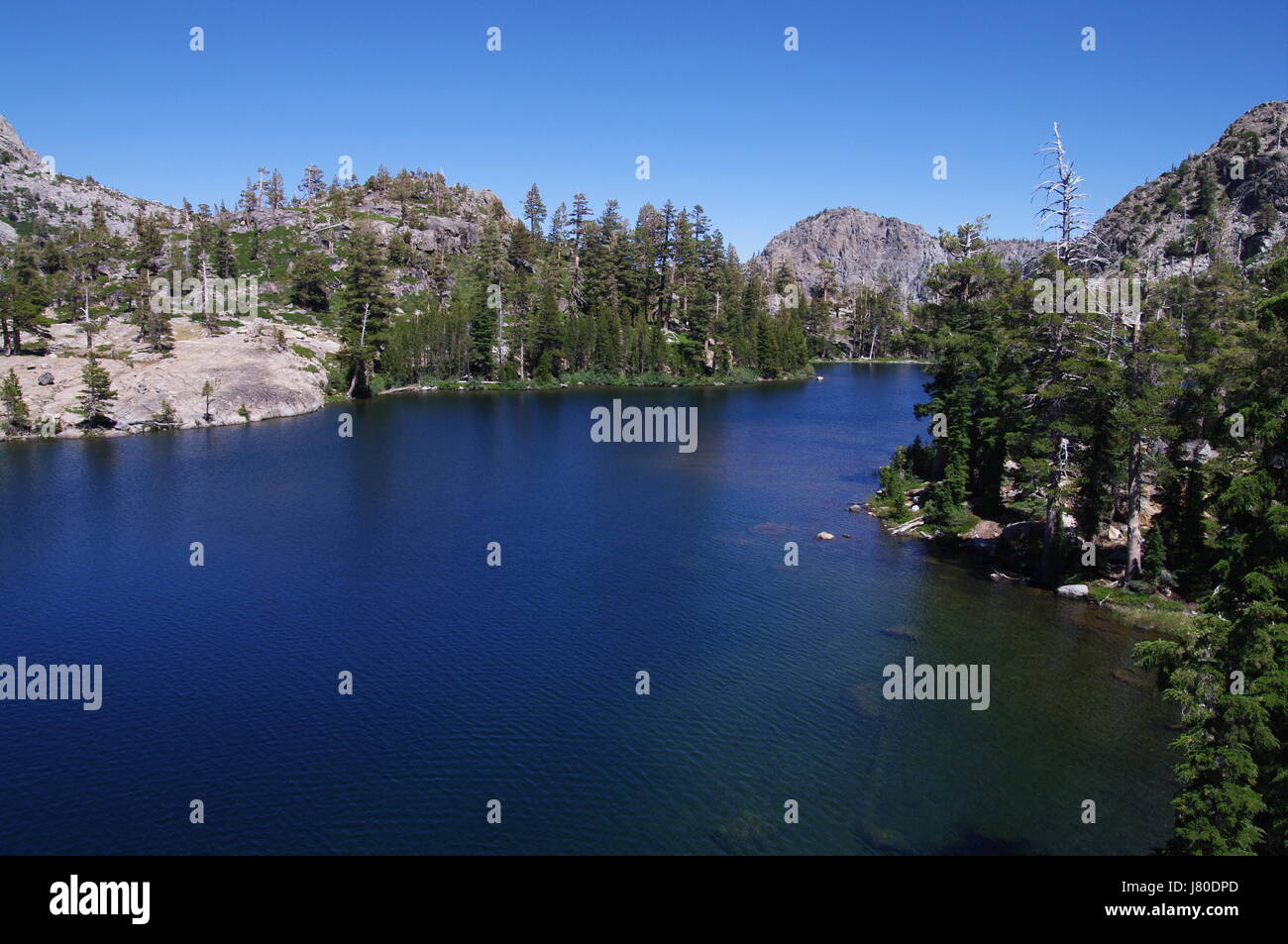 usa idyll scenery countryside nature blue bear wild hike go hiking ...