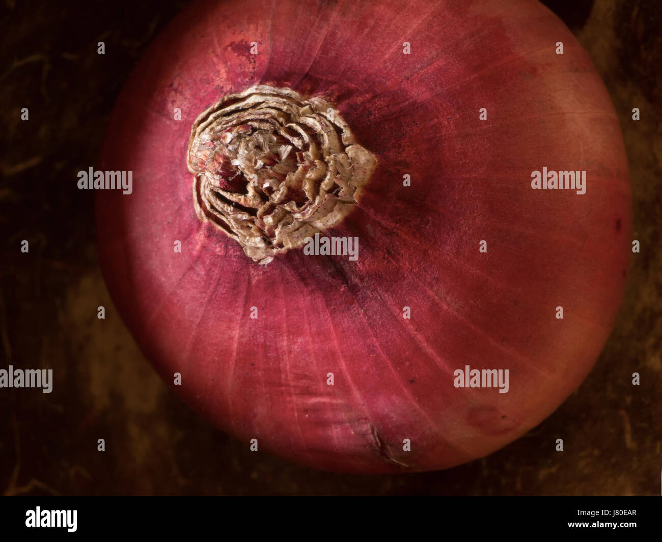 aromatic vegetable onion vegetarian organic red bulb food aliment ...