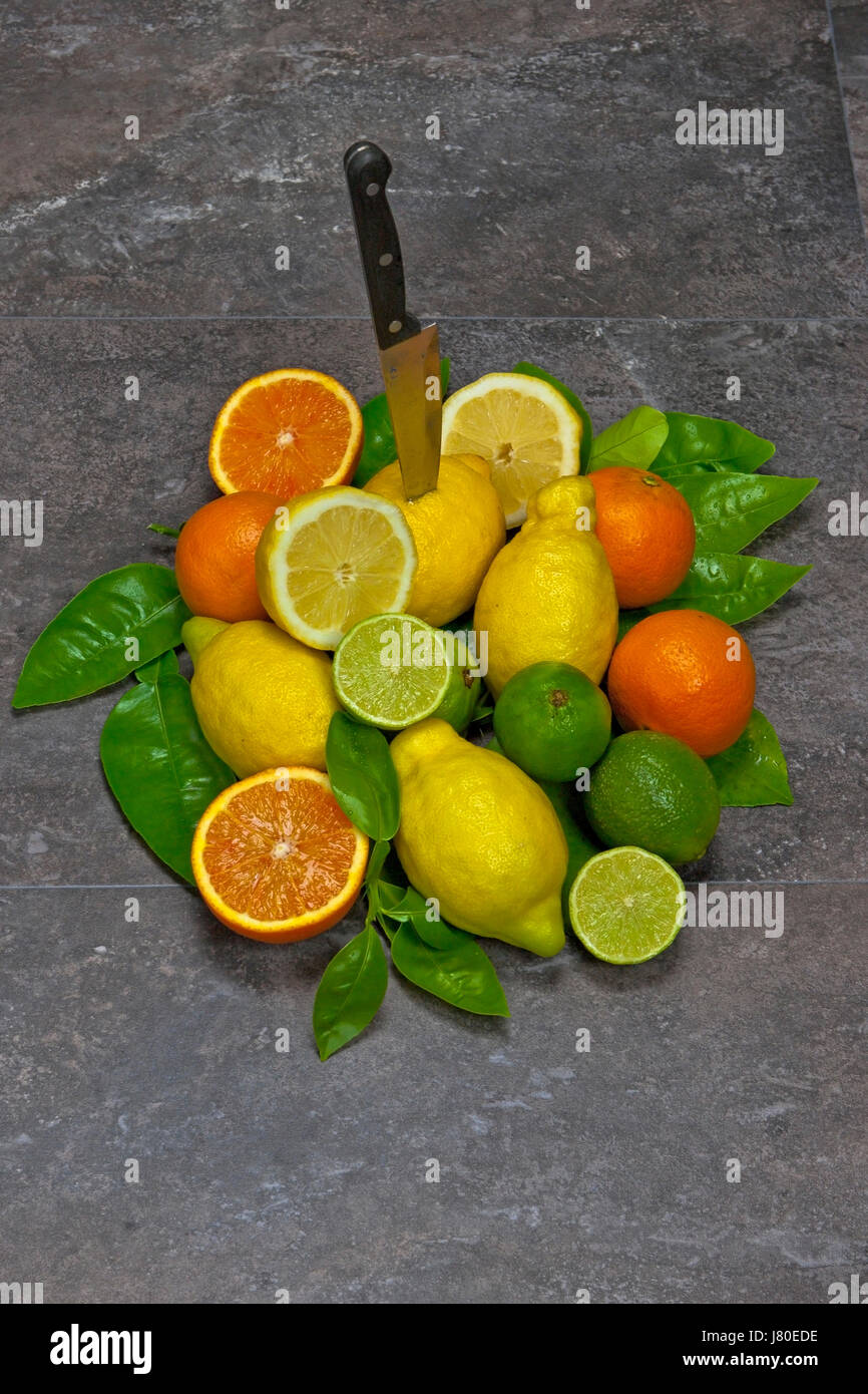citrus fruits with knife Stock Photo - Alamy