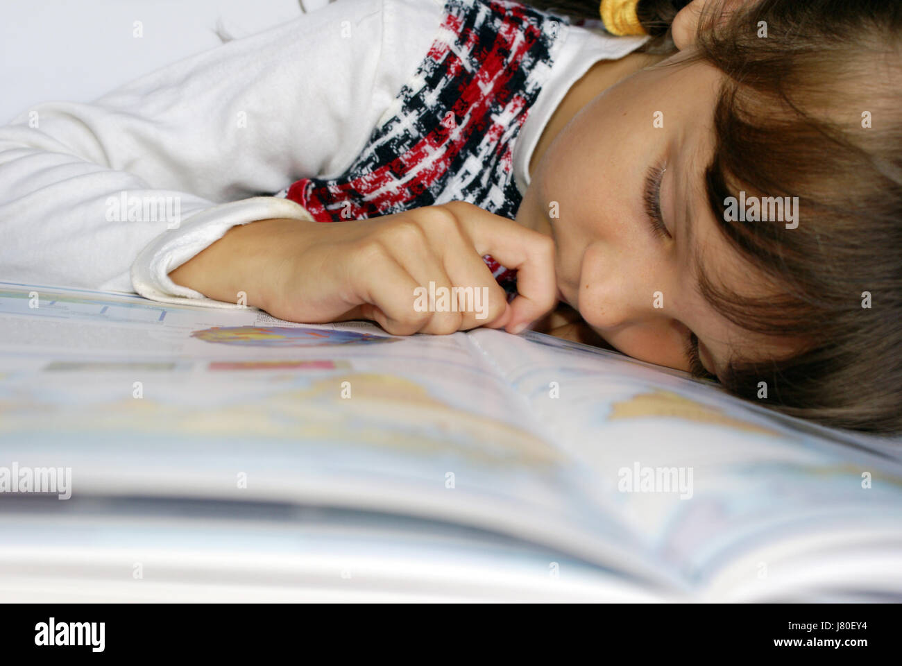 education face elegance human human being girl girls head study write ...