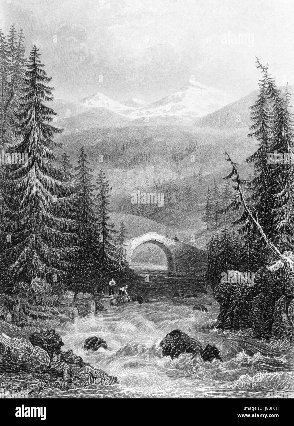 rhine germany german federal republic wildlife german landscape scenery ...