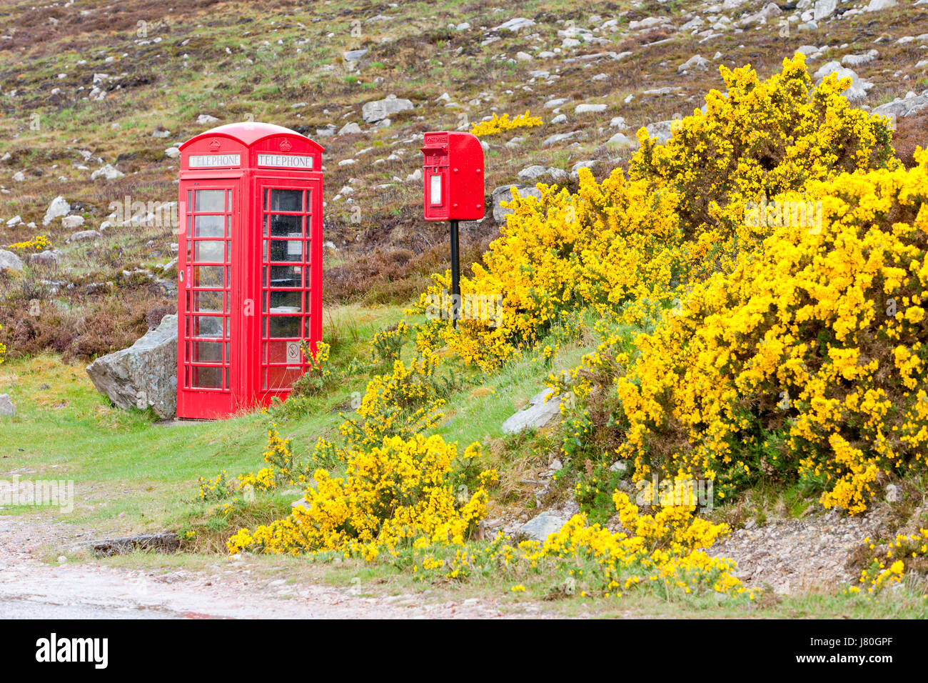 Yellow telephone box spring hi-res stock photography and images - Alamy