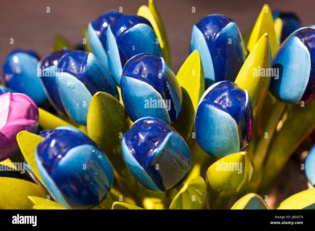 Belfast City Hall, 25th May 2017. Multi-Coloured Wooden Tulips on ...