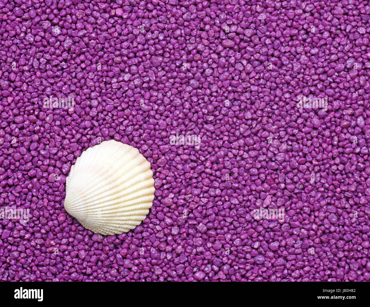 violet / purple wellness - concept Stock Photo - Alamy