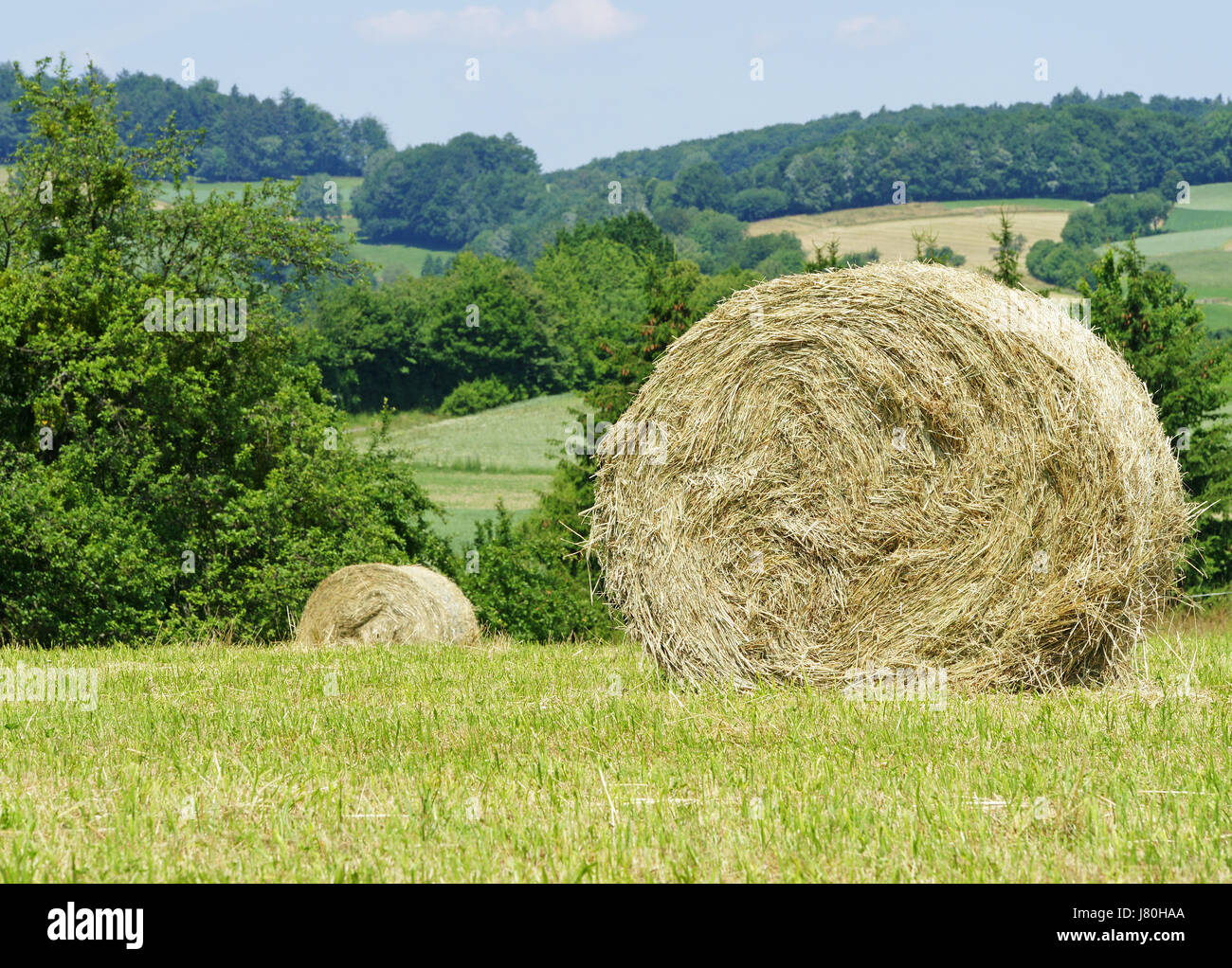 nature & hay harvest - nature & hay Stock Photo - Alamy