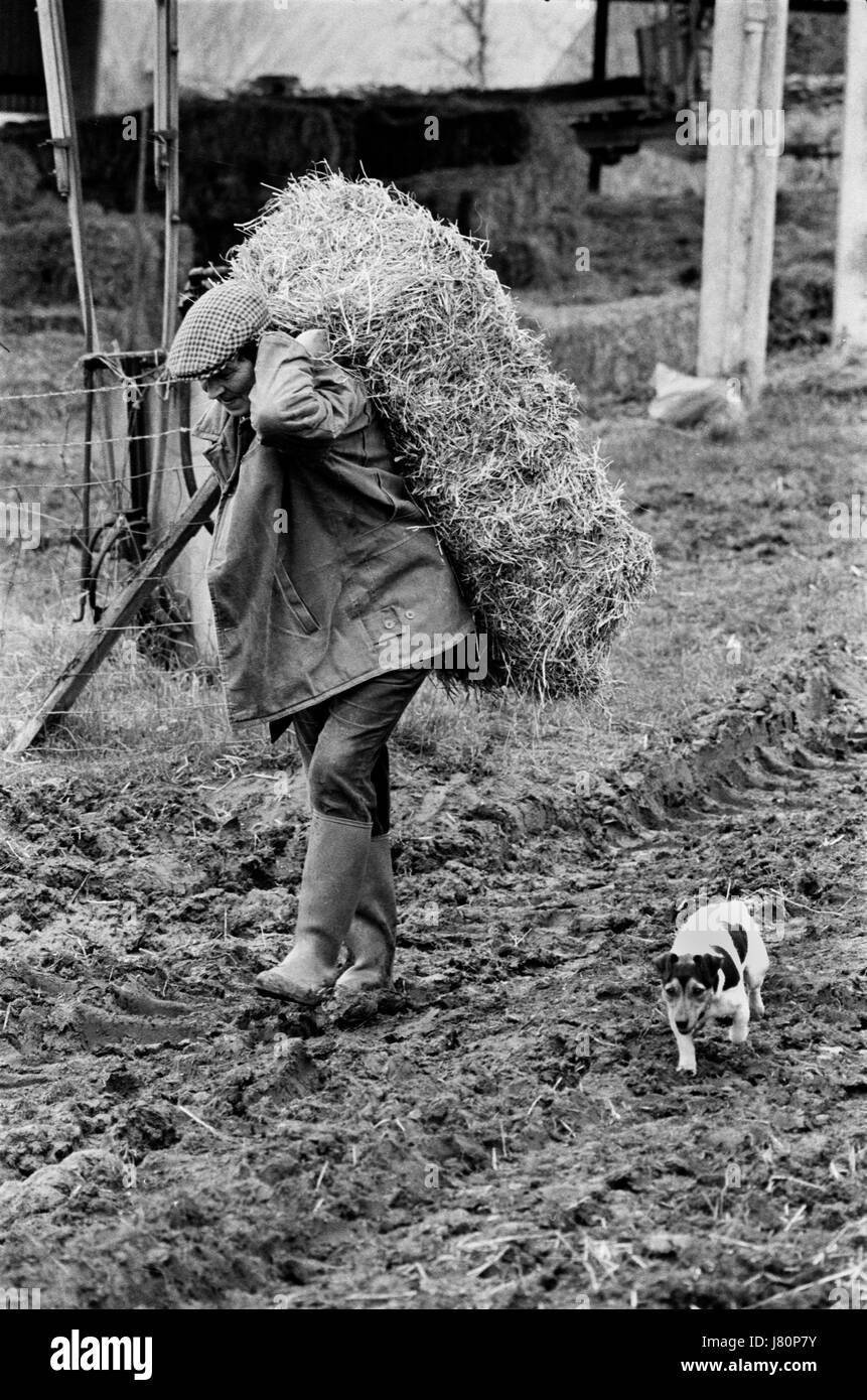 1970s farmer hi-res stock photography and images - Alamy