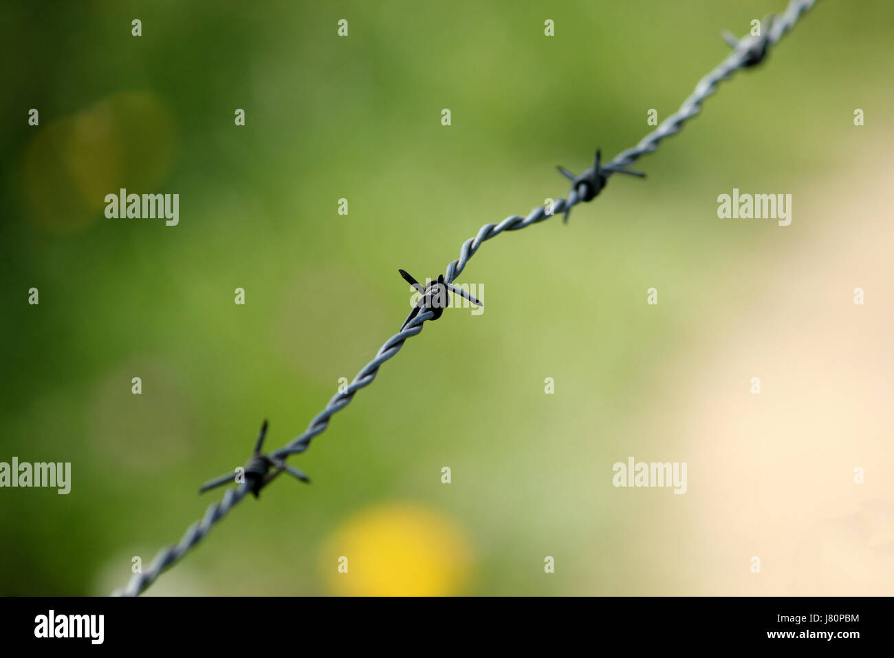 border barrier wire fence fence in fencing barbed wire wires tense ...