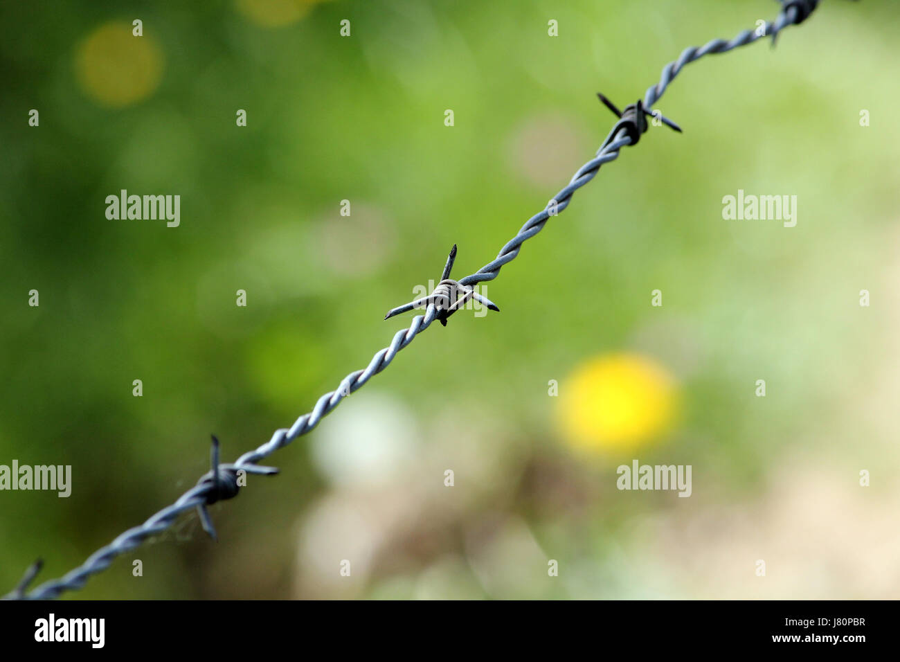border barrier wire fence fence in fencing barbed wire wires tense ...