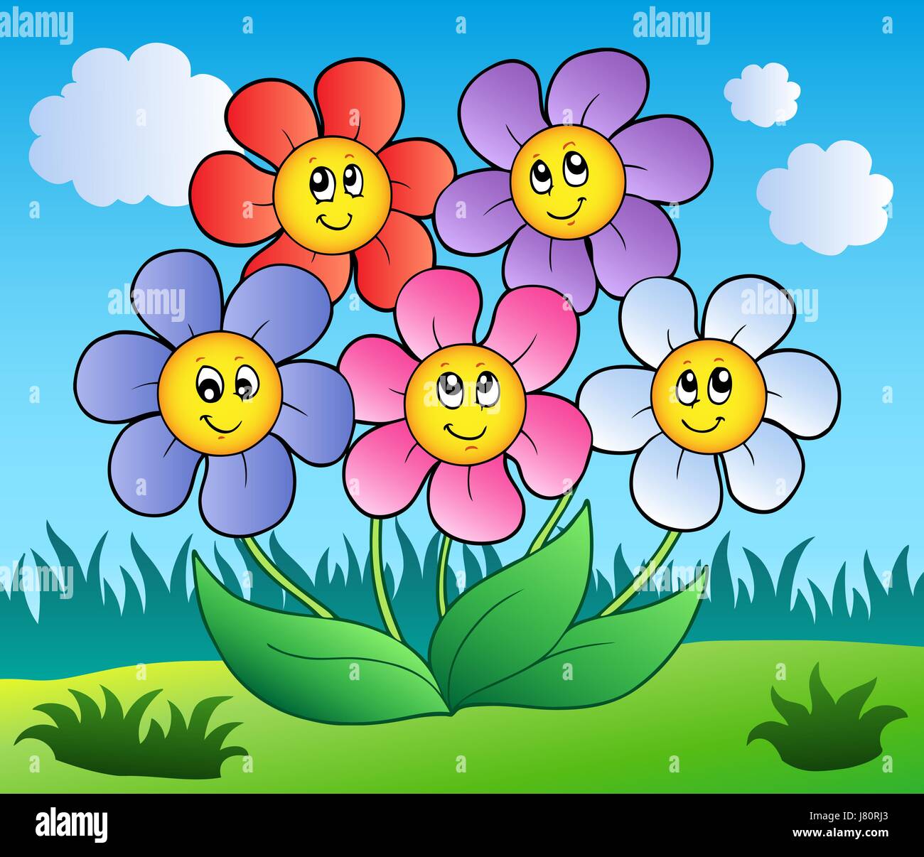 flower plant flowers flora spring plants floral nature laugh laughs ...