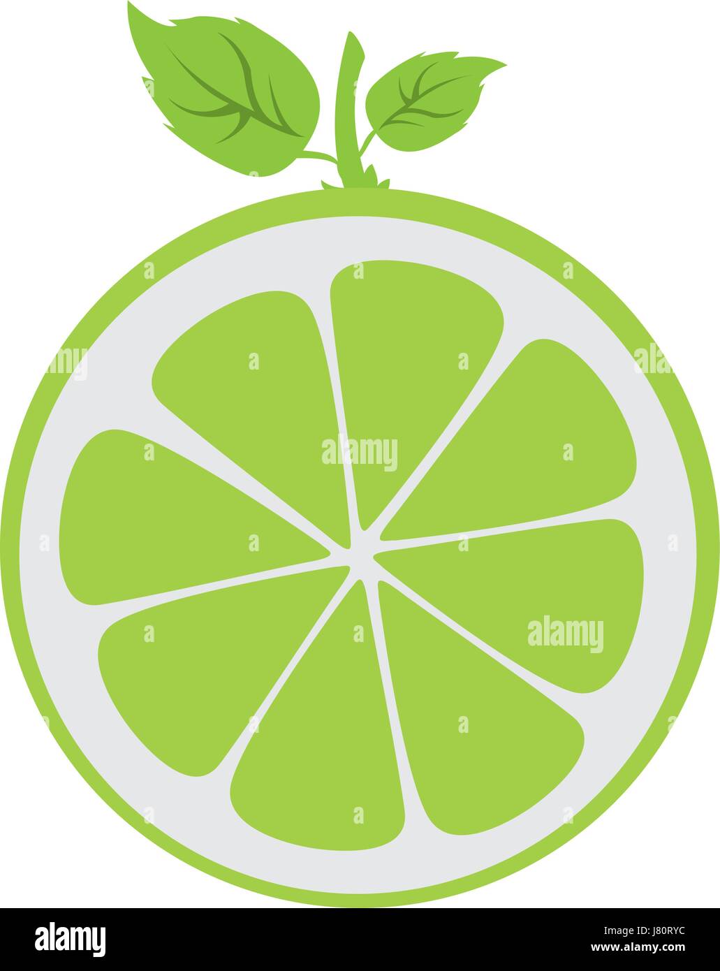 half citrus fruit icon Stock Vector Image & Art - Alamy