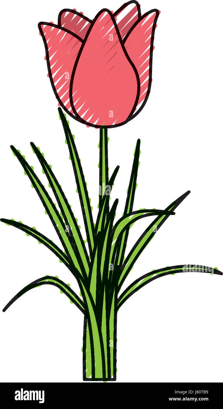 cute rose isolated icon Stock Vector Image & Art - Alamy