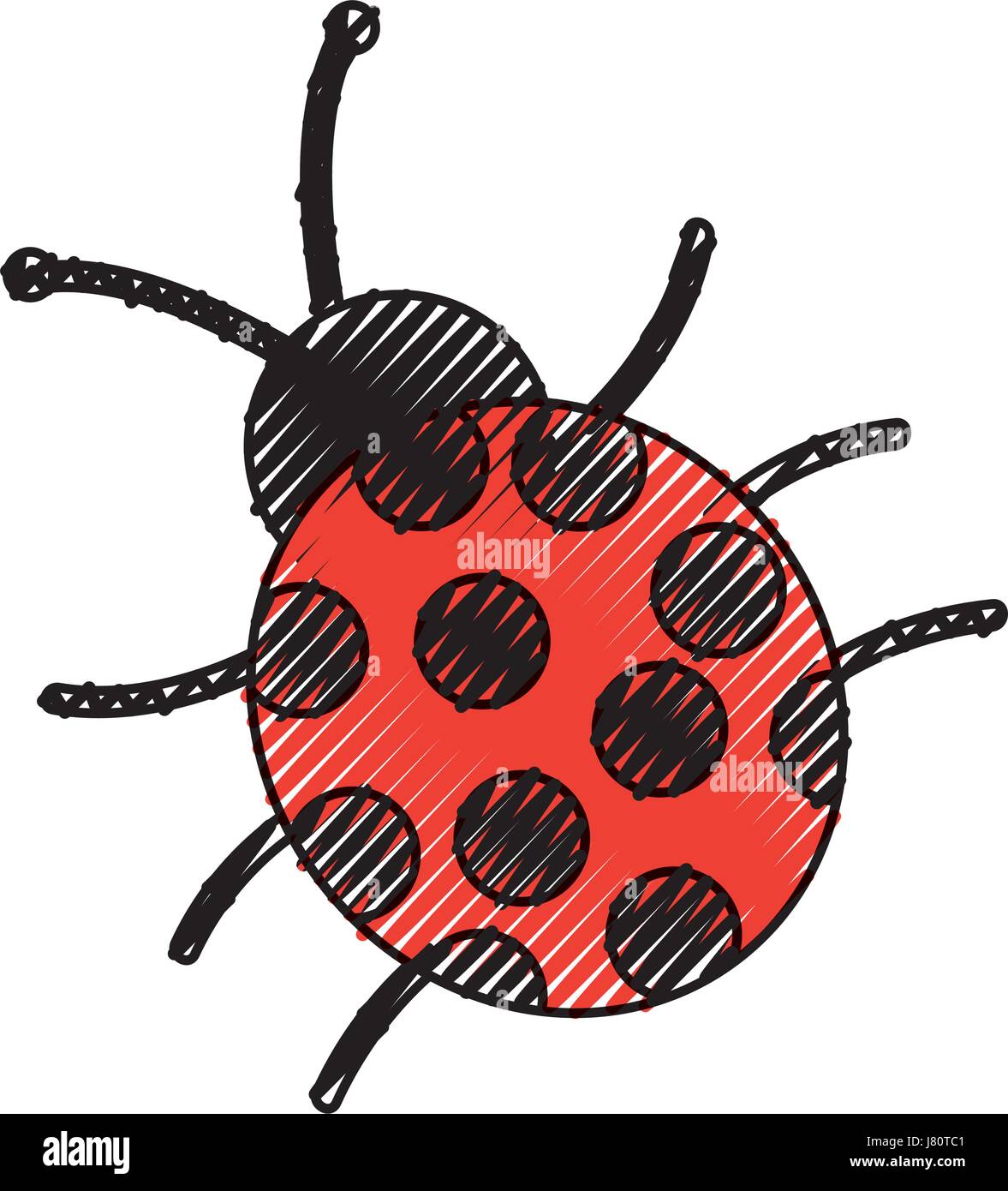 cute ladybug isolated icon Stock Vector Image & Art - Alamy