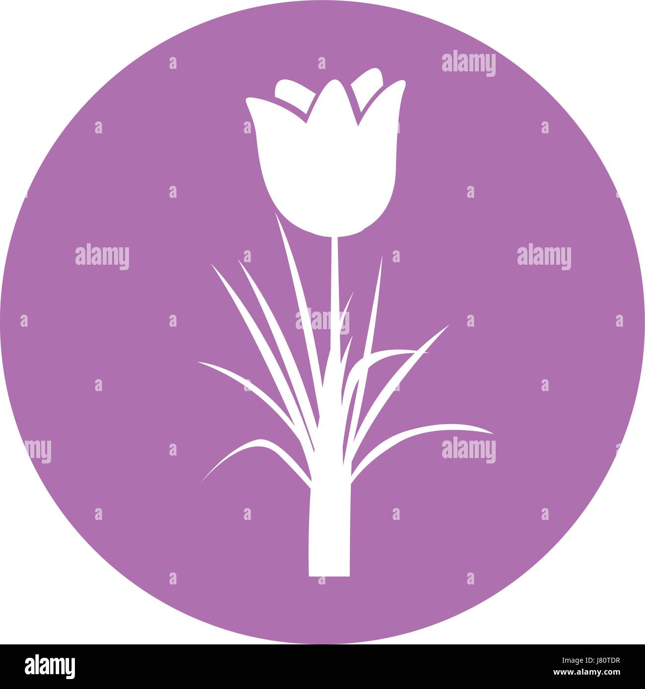 cute rose isolated icon Stock Vector Image & Art - Alamy